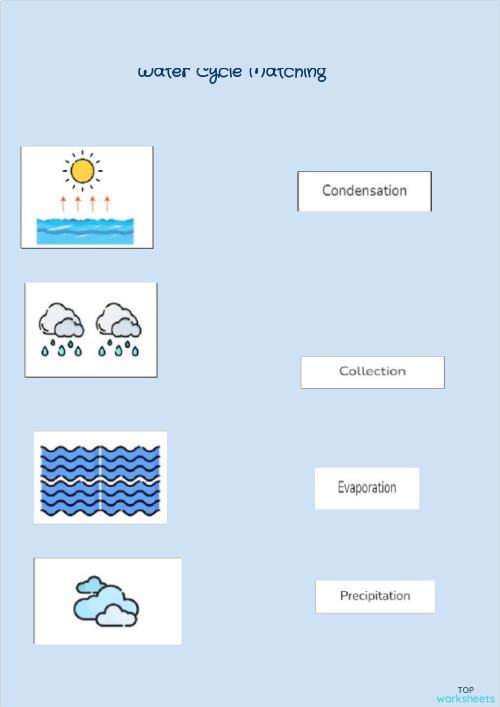 Water Cycle matching. Interactive worksheet | TopWorksheets