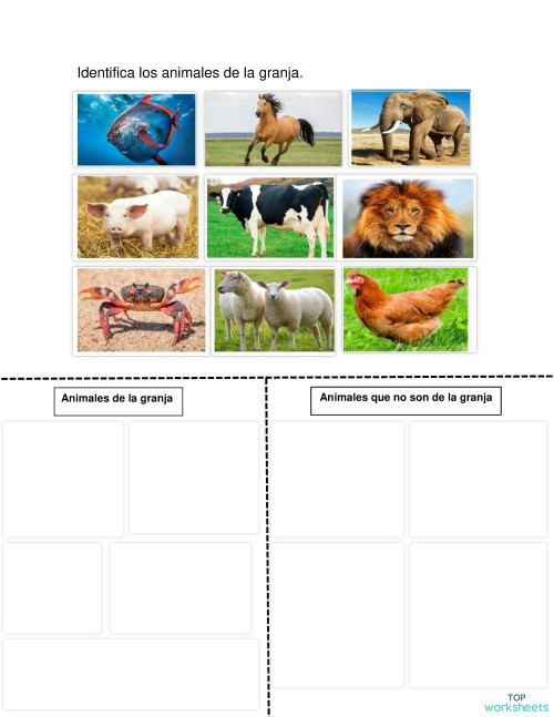 Animales de la granja. Ficha interactiva | TopWorksheets