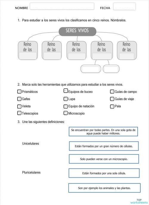 Prueba ciencias unidad 3. Ficha interactiva | TopWorksheets