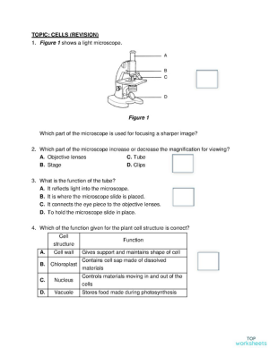Cells (MCQs). Interactive worksheet | TopWorksheets