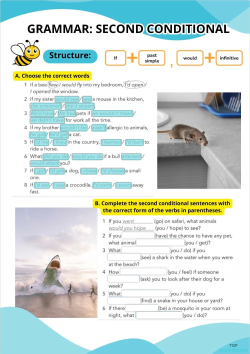 XII: GRAMMAR: SECOND CONDITIONAL. Interactive worksheet | TopWorksheets