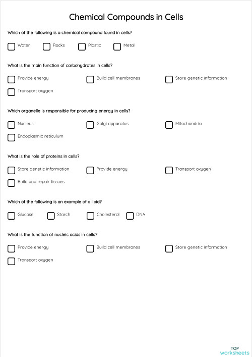 Chemical Compounds in Cells. Interactive worksheet | TopWorksheets