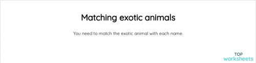 Matching exotic animals. Interactive worksheet | TopWorksheets