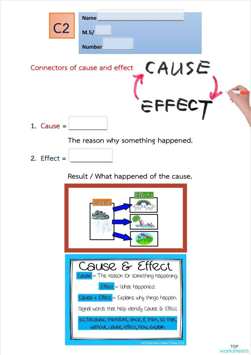 C2 Connectors of cause and effect ใบงานเชิงโต้ตอบ | TopWorksheets