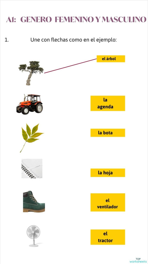 A1 AVANZADO GÉNERO FEMENINO Y MASCULINO. Ficha interactiva | TopWorksheets