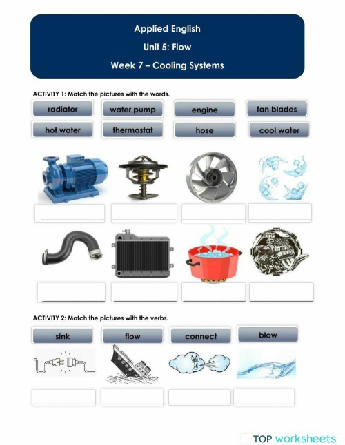 Unit 5 Flow - Cooling system Review. Interactive worksheet | TopWorksheets
