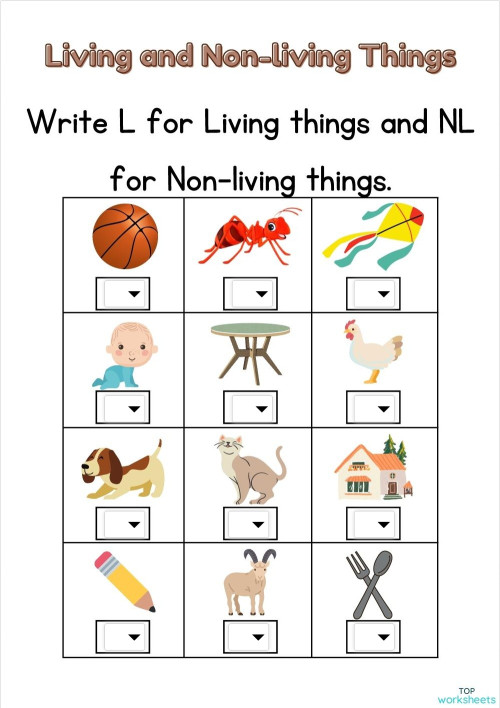 Label: Living or Non Living. Interactive worksheet | TopWorksheets