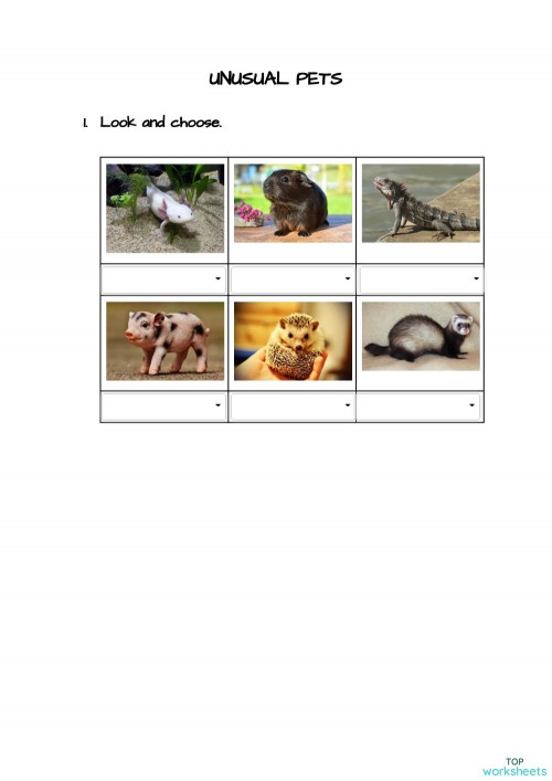 Unusual pets_Topworksheets. Interactive worksheet | TopWorksheets