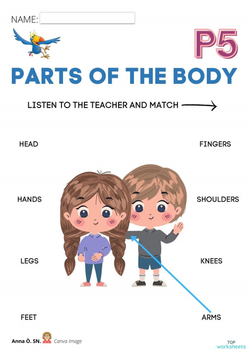 P5 Parts of the BODY Anna Ò. SN.. Interactive worksheet | TopWorksheets