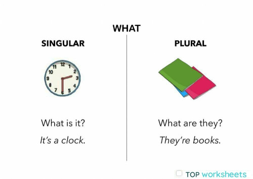 Usage of What. Interactive worksheet | TopWorksheets