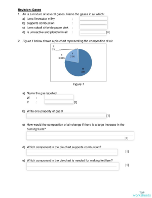 GASES- PT 1 (REVISION). Interactive worksheet | TopWorksheets