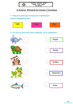 Examen de Ciencia y Tecnologia. Ficha interactiva | TopWorksheets