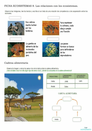Ecosistemas: fichas interactivas y ejercicios online | TopWorksheets