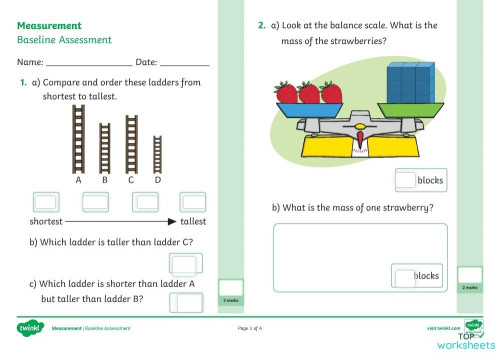 MEASUREMENT ASSESSMENT GRADE 2. Interactive worksheet | TopWorksheets
