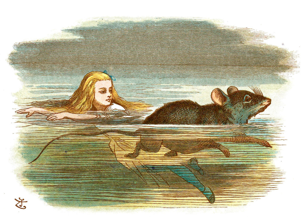 Alice in Wonderland Chapter 2. Interactive worksheet | TopWorksheets