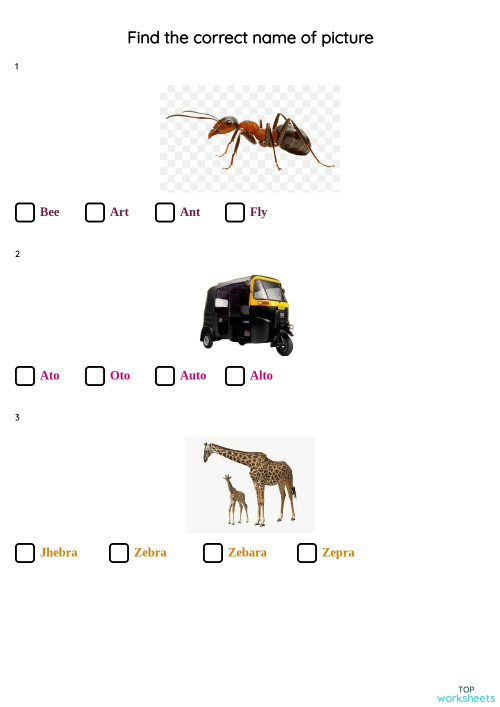 Find the correct name of picture. Interactive worksheet | TopWorksheets