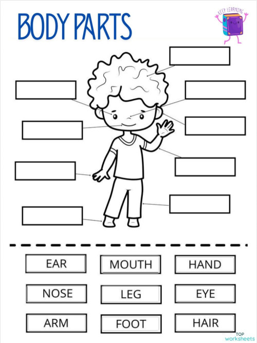 ACTIVITY K2 BODY PARTS NO. 1. Interactive worksheet | TopWorksheets