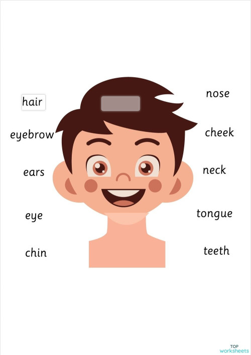 Match the words with the pictures. Interactive worksheet | TopWorksheets