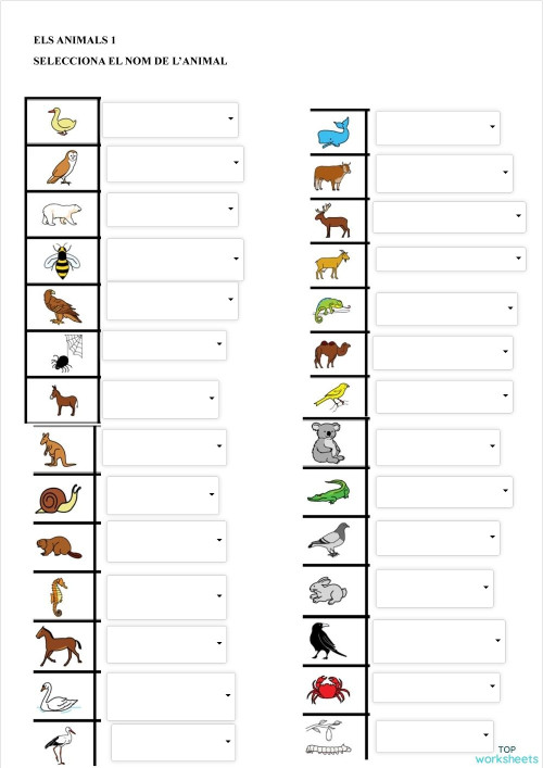 ELS ANIMAL. IMATGE-NOM (1). Fitxa interactiva | TopWorksheets