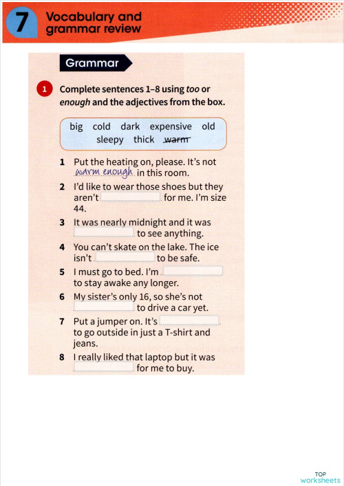 ADULTS B1: interactive worksheets and online exercises | TopWorksheets