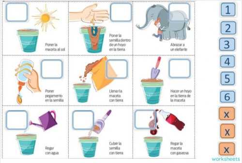 ¡Siembra la planta!. Ficha interactiva | TopWorksheets
