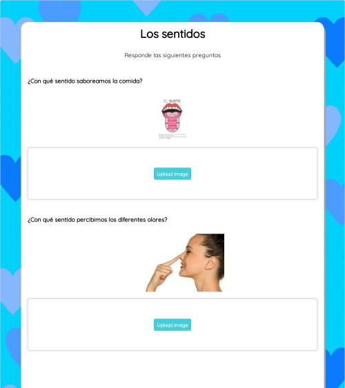 Los Sentidos Ficha Interactiva Topworksheets 4923