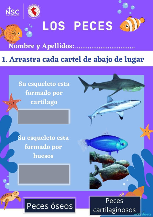DAD - Los peces. Ficha interactiva | TopWorksheets