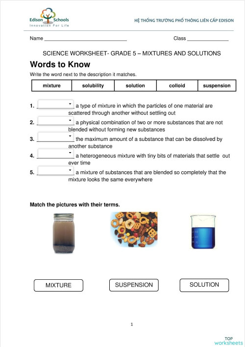 Mixtures and Solutions. Interactive worksheet | TopWorksheets