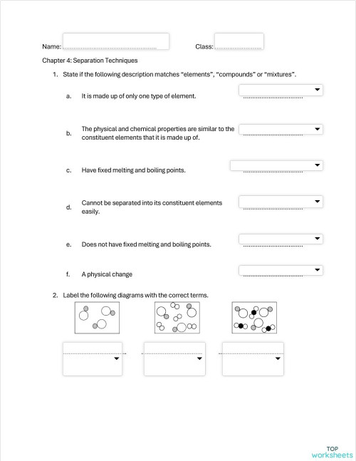 Diversity: interactive worksheets and online exercises | TopWorksheets