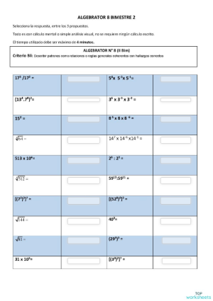 Algebrator 8. Ficha interactiva | TopWorksheets