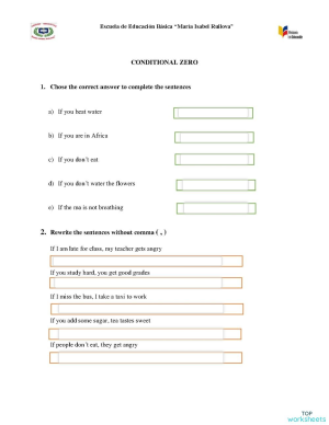 CONDITIONAL ZERO. Interactive worksheet | TopWorksheets