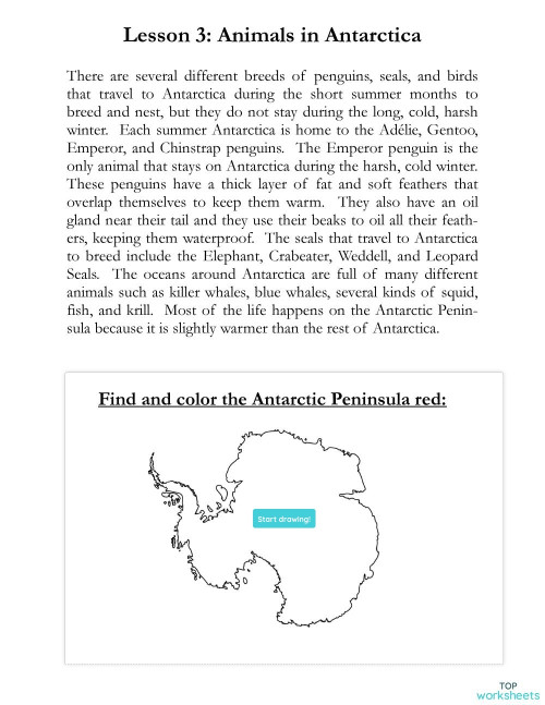 Animals of Antarctica. Interactive worksheet | TopWorksheets