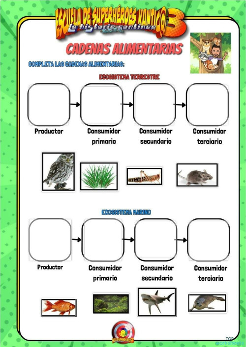 Copia de FOOD CHAINS 1. Ficha interactiva | TopWorksheets