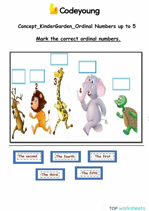 Ordinal numbers for kg. Interactive worksheet | TopWorksheets