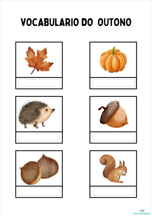 Avaliación_vocabulario_outono. Ficha interactiva | TopWorksheets