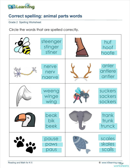 Find the correct spelling 2. Interactive worksheet | TopWorksheets
