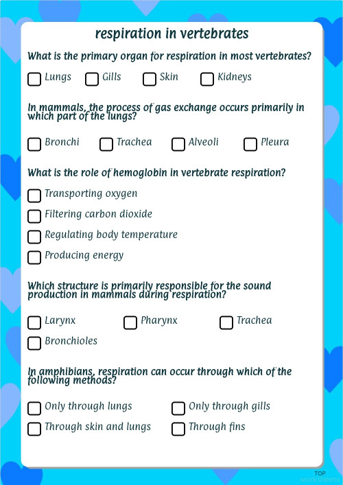 respiration in vertebrates. Interactive worksheet | TopWorksheets