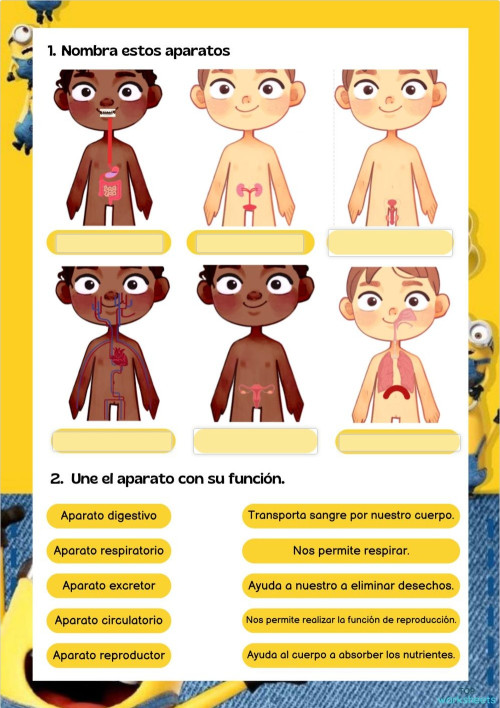 Unidad 3. Nuestro cuerpo.. Ficha interactiva | TopWorksheets