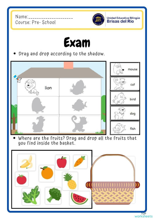 Exam: Pre- School. Interactive worksheet | TopWorksheets