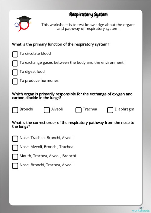 Respiratory System. Interactive worksheet | TopWorksheets