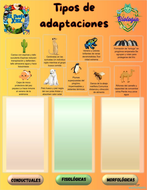 Tipos de adaptaciones. Ficha interactiva | TopWorksheets