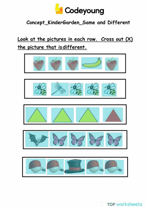 Same or different interactive. Interactive worksheet | TopWorksheets