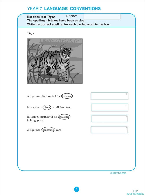 Year 7 2009 Language Conventions Naplan. Interactive worksheet ...