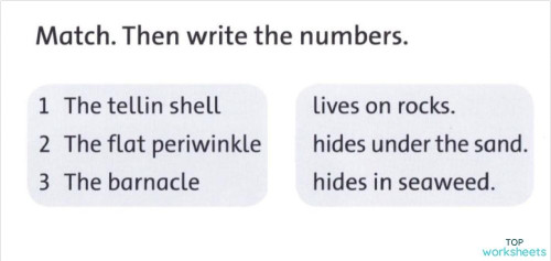 Housing - Level 3 Module 3 Reading Assessment. Interactive worksheet ...