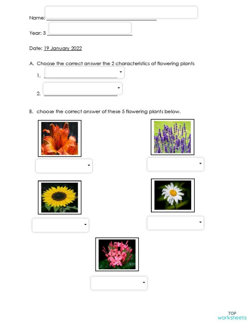 Flowering Plants Week 3. Interactive worksheet | TopWorksheets