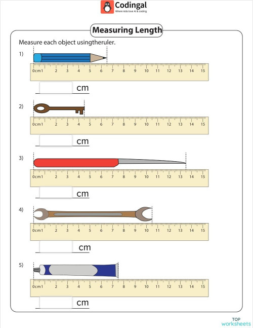 M_G03M23L50_WE01_Measuring_Length_Using_Rulers_and_Tapes_5. Interactive ...