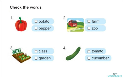 A2 EDA 5. 1 An eco friendly routine. Interactive worksheet | TopWorksheets