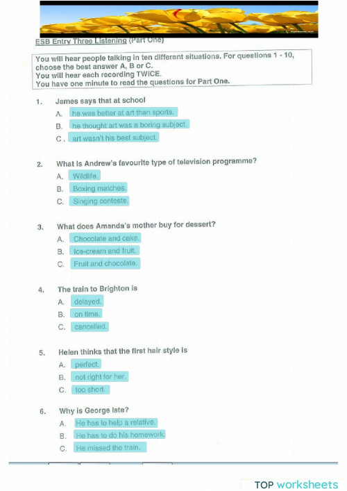 ESB B1 LISTENING 2010A. Interactive worksheet | TopWorksheets