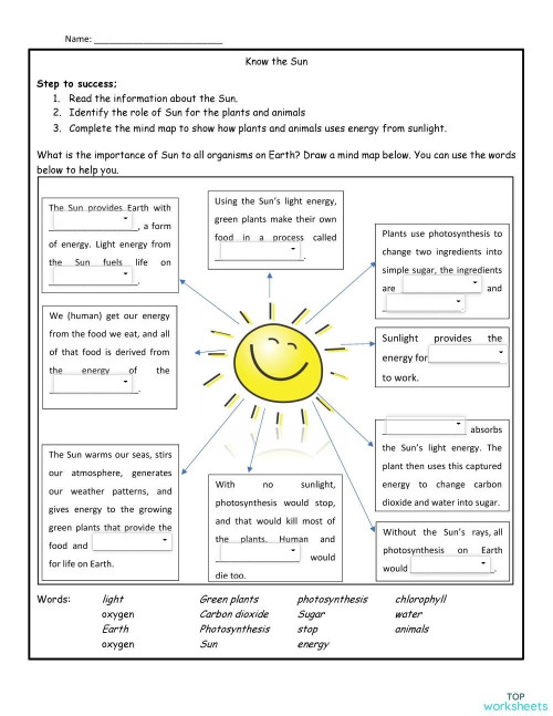 Year - The importance of Sun and its role in photosynthesis ...