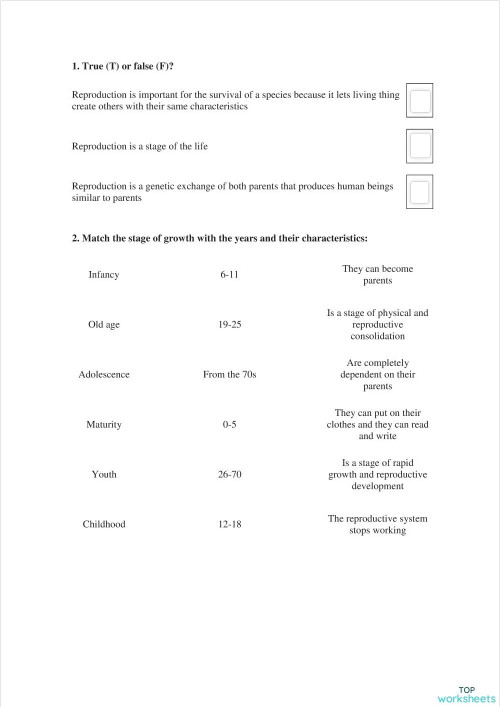 ´Review Science U2 6th grade. Interactive worksheet | TopWorksheets